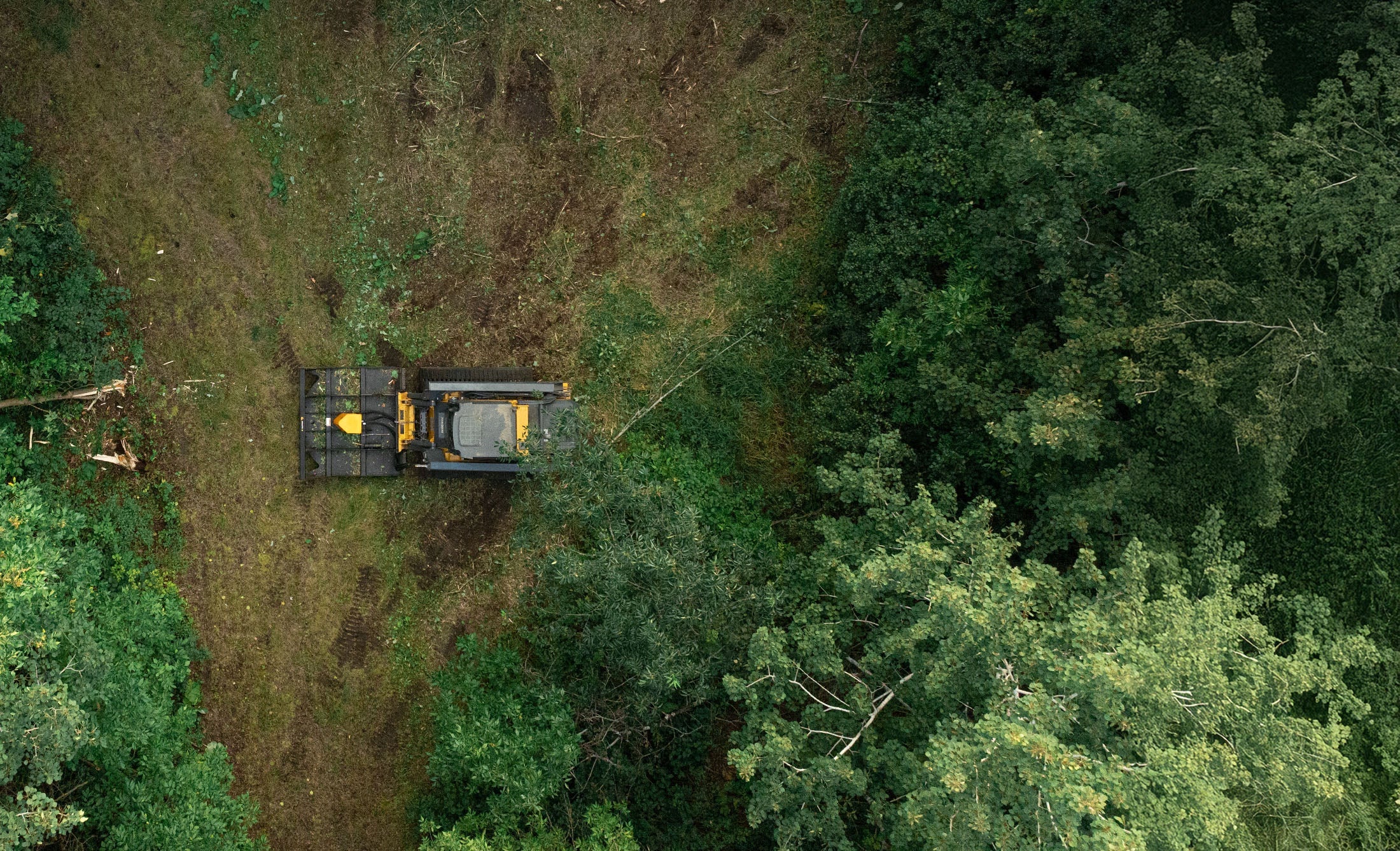 Skid Steer | Application | Forestry – Quick Attach