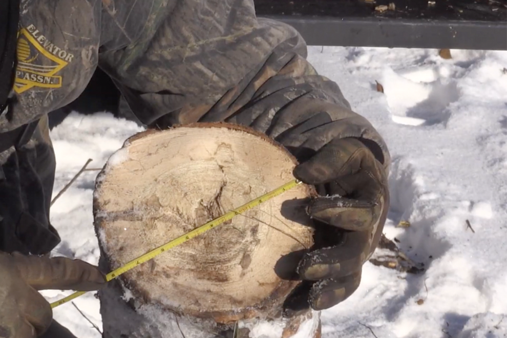 The Big Chipper - Skid Steer Chipper – Quick Attach